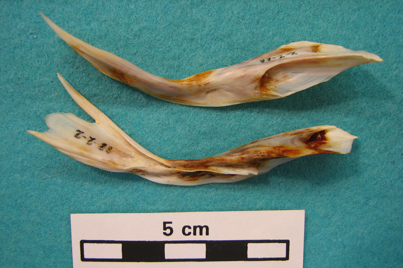 Untitled Document [web.pdx.edu]