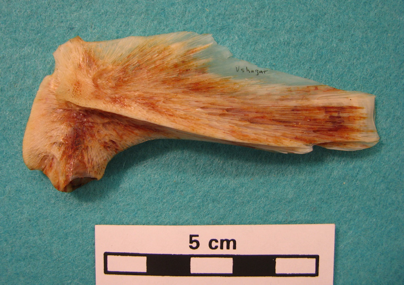 Untitled Document [web.pdx.edu]